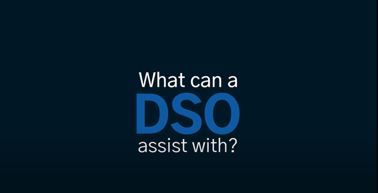 What can a DSO assist with? - 7 Pillars